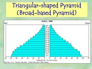 Population pyramids | PPT