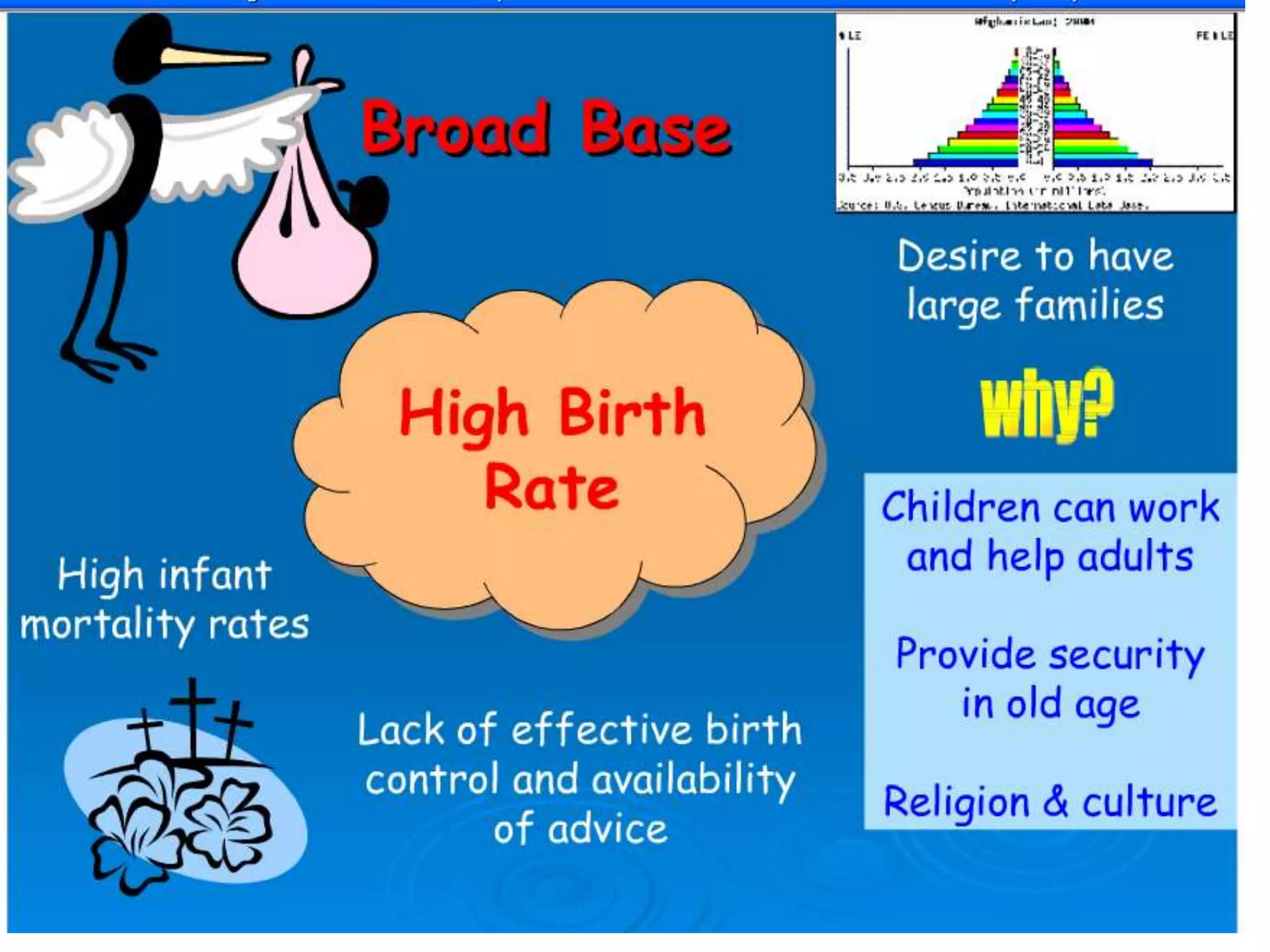 Population pyramids | PPTX