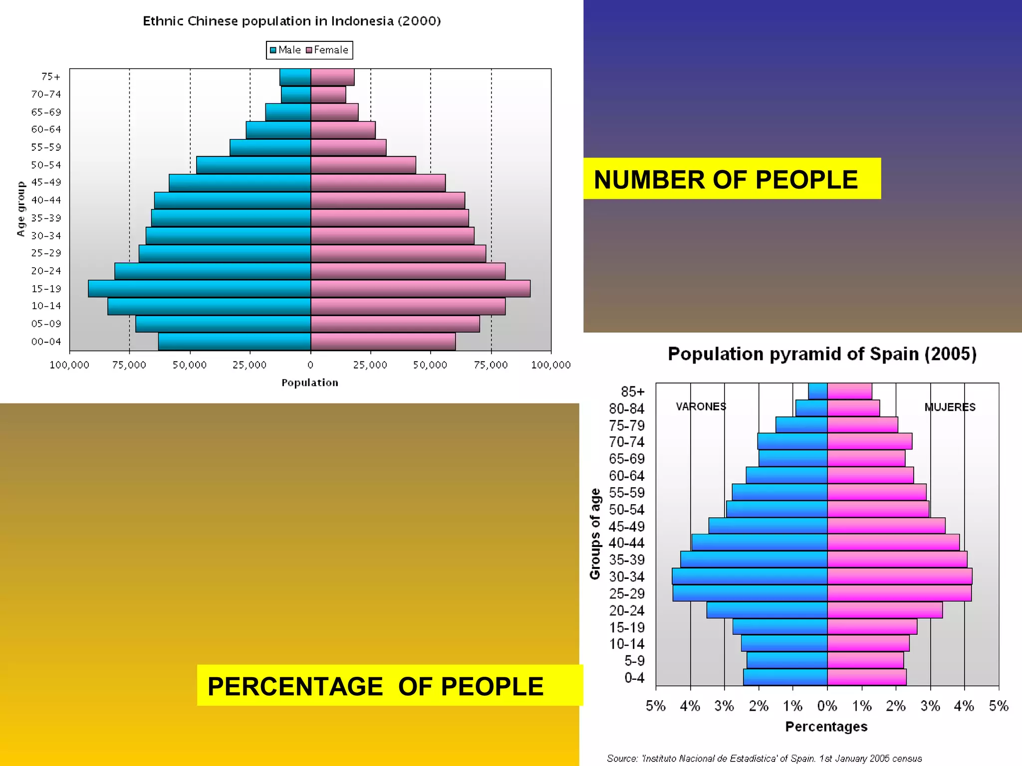 Population pyramids | PPT