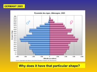 Population pyramids | PPT