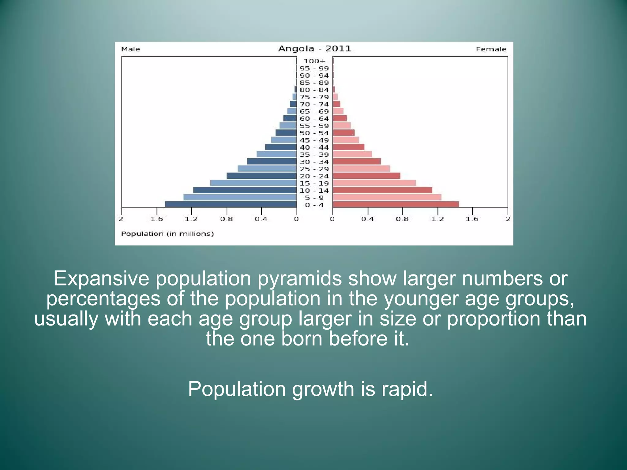 Population pyramids | PPT
