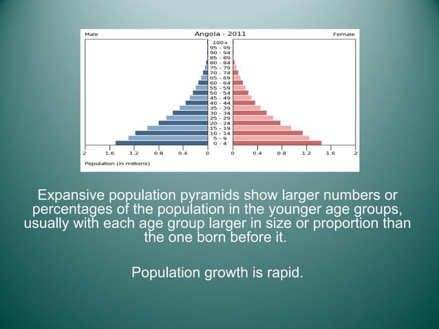 Population pyramids | PPT