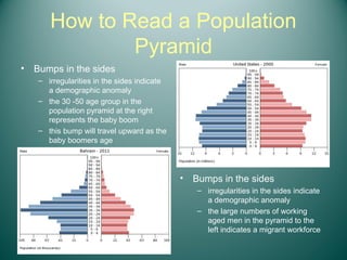 Population pyramids | PPT