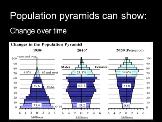 Population pyramids | PPT