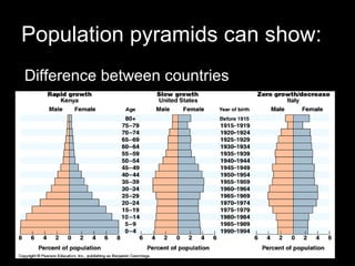 Population pyramids | PPT