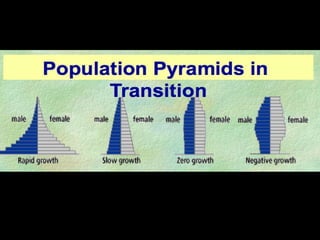 Population pyramids | PPT