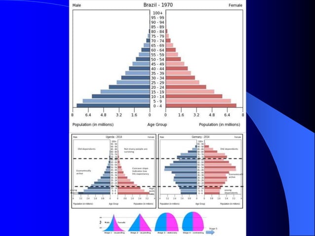 Population pyramids.ppt