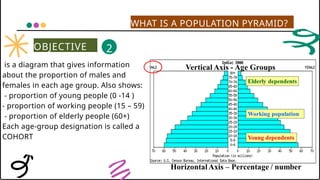 population pyramids.pptxPatterns of where people live/ how people are ...