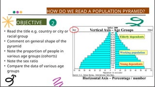 population pyramids.pptxPatterns of where people live/ how people are ...