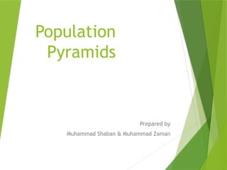 Population_Pyramids. Presentation. types pptx | PPTX
