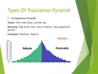 Population_Pyramids. Presentation. types pptx | PPTX