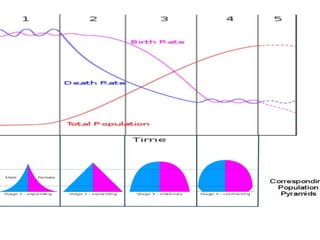 Population_PyramidsWORLDPOPULATIONAS.ppt