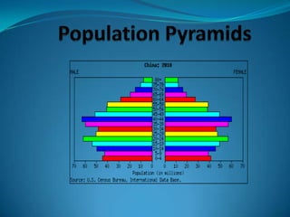 Population pyramids powerpoint | PPT