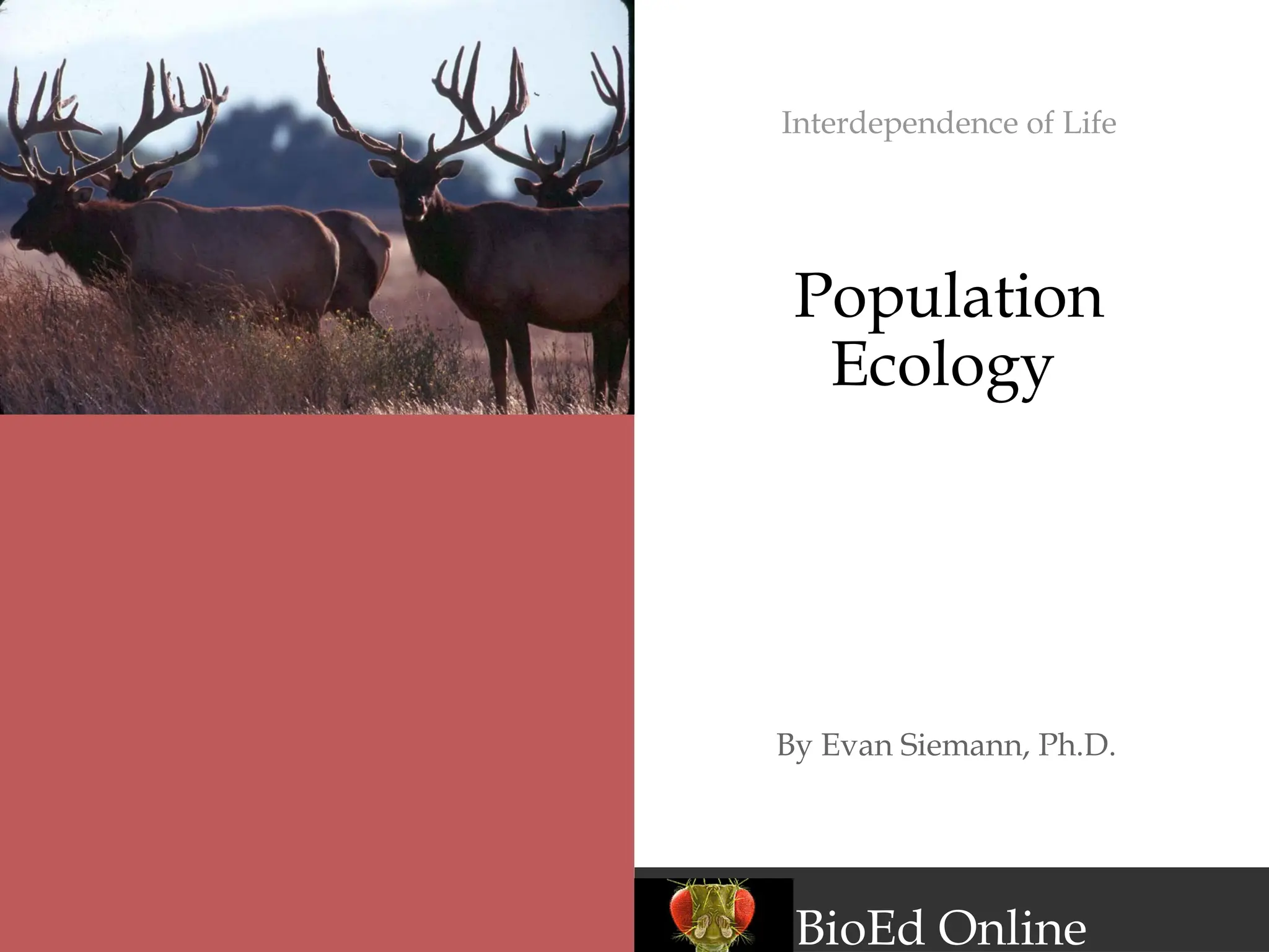 Population regulation dependent and indepedent.ppt