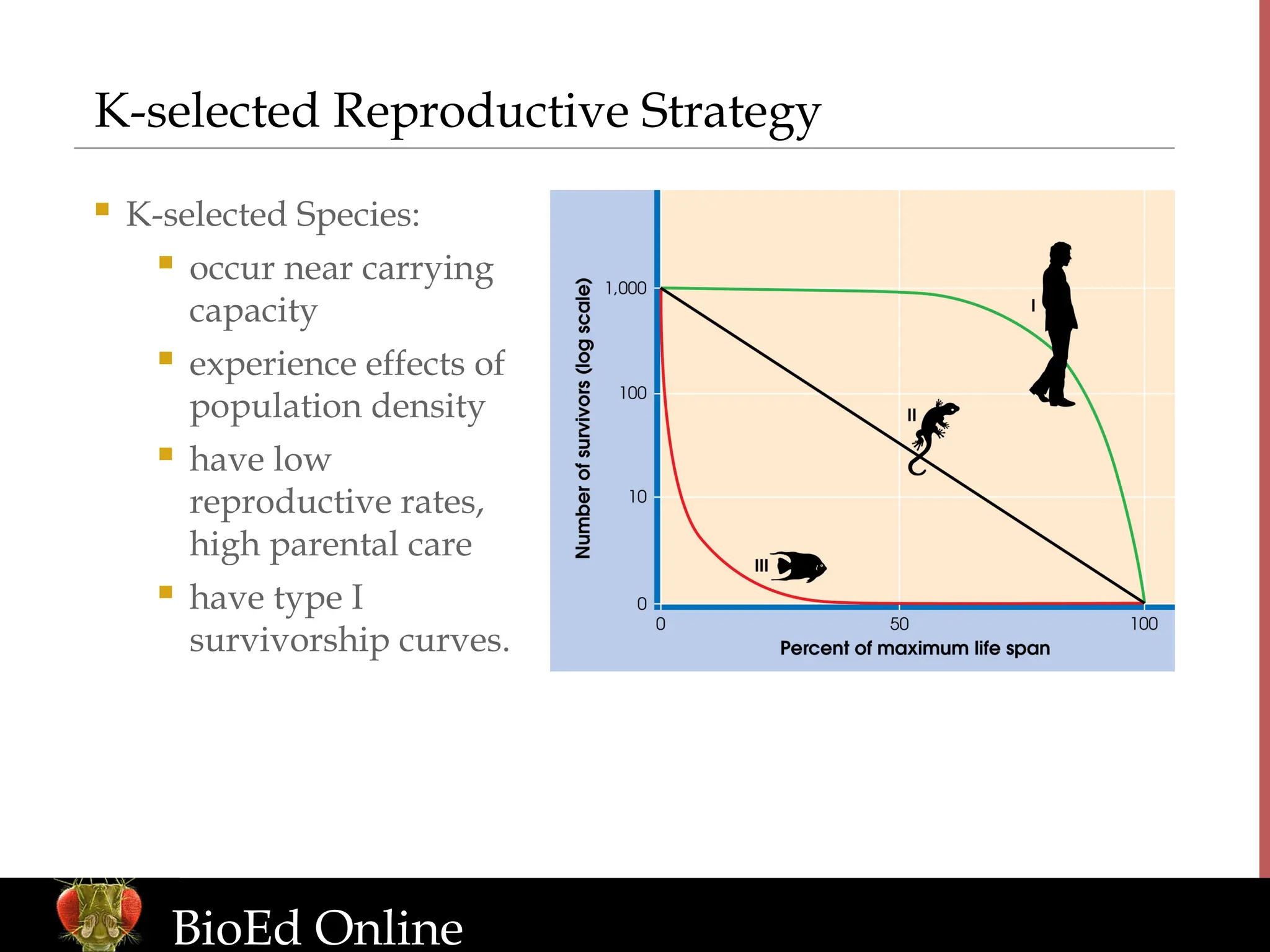 Population regulation dependent and indepedent.ppt