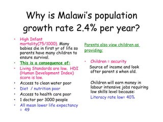 Population Revision | PPT