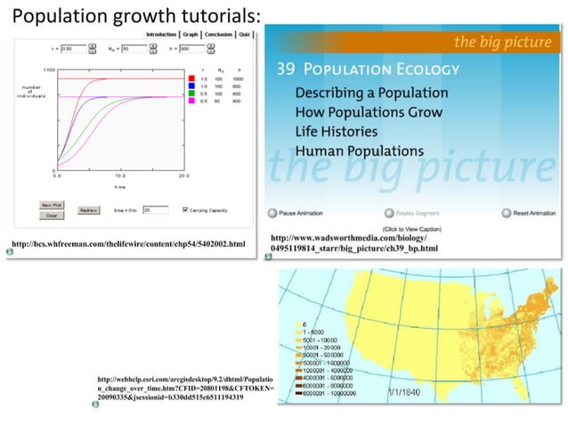 Populations | PPT
