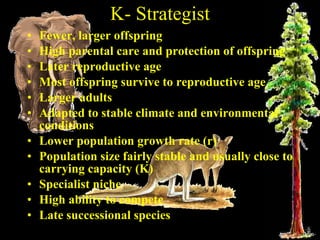R Strategist Examples