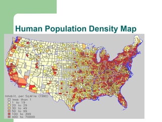 Populations | PPT