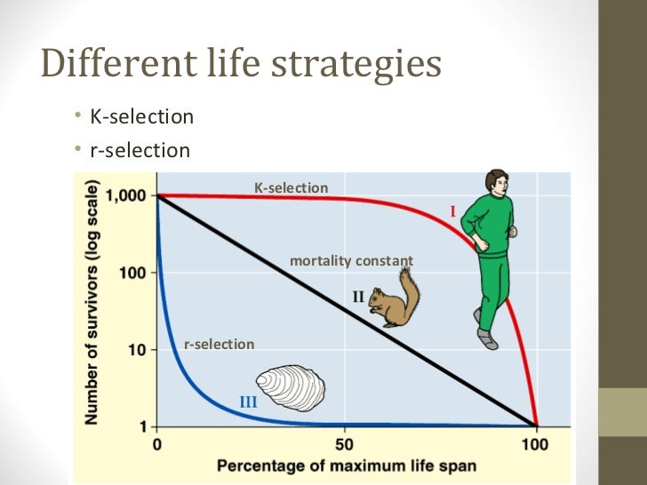 Populations and communities