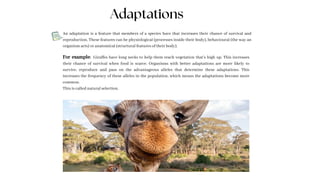Populations and Ecosystems.pptx