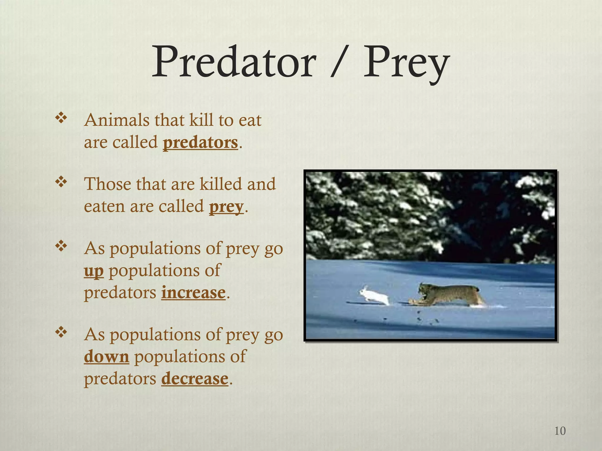 Populations Biology 2014 | PPT