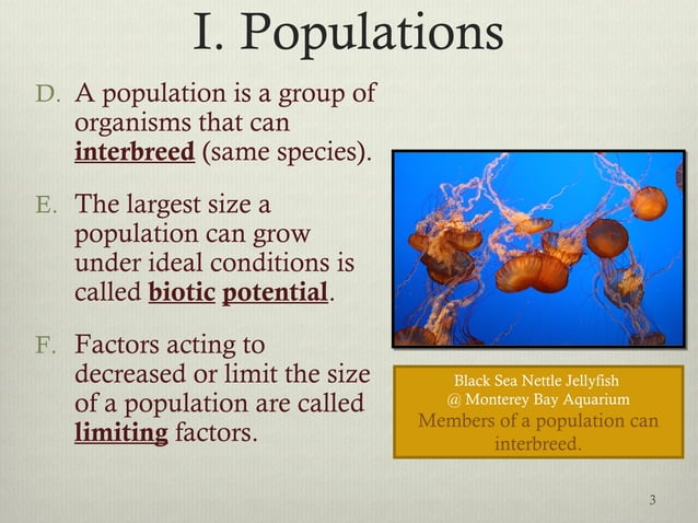 Populations Biology 2014 | PPT