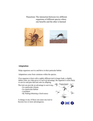 Populations and Ecosystems | PDF