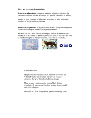 Populations and Ecosystems | PDF