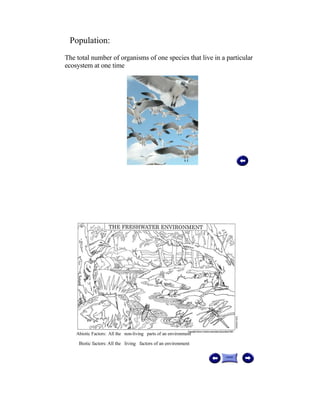 Populations and Ecosystems | PDF