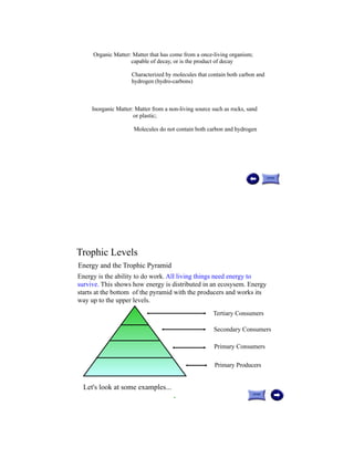 Populations and Ecosystems | PDF