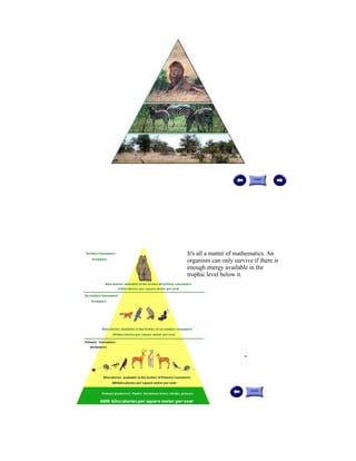 Populations and Ecosystems | PDF