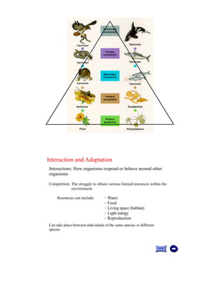 Populations and Ecosystems | PDF