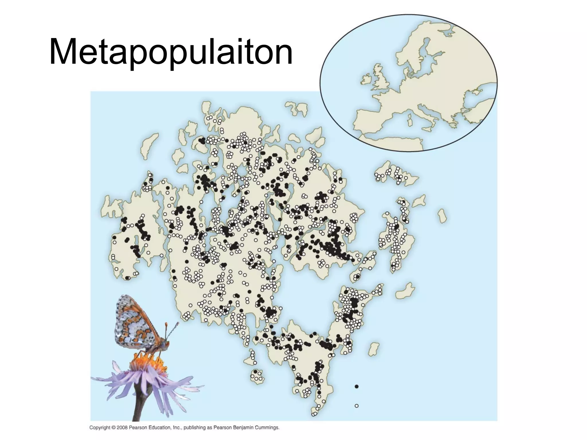 Honors Biology: Populations | PPT