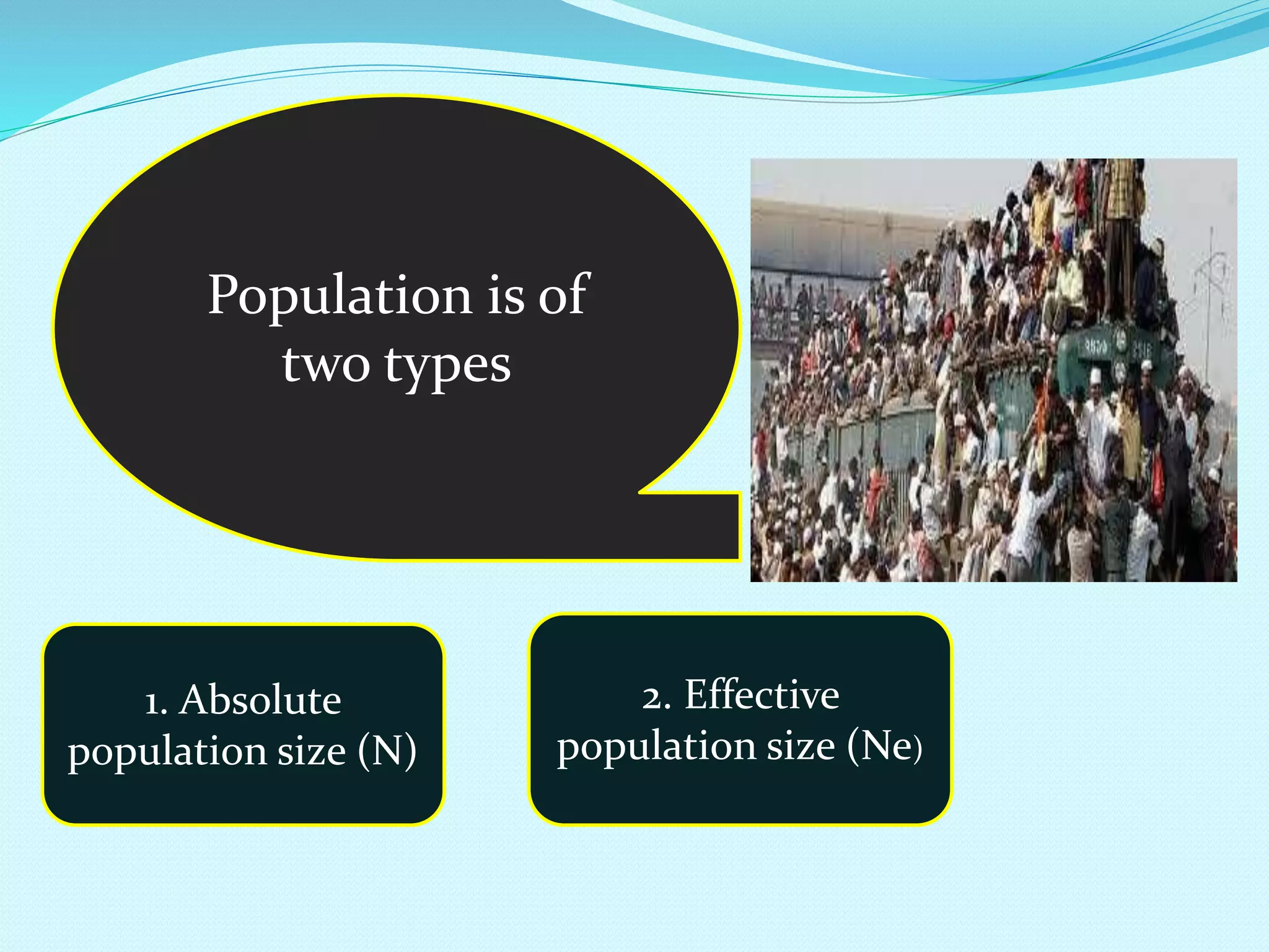 Population size and genetic drift | PPTX