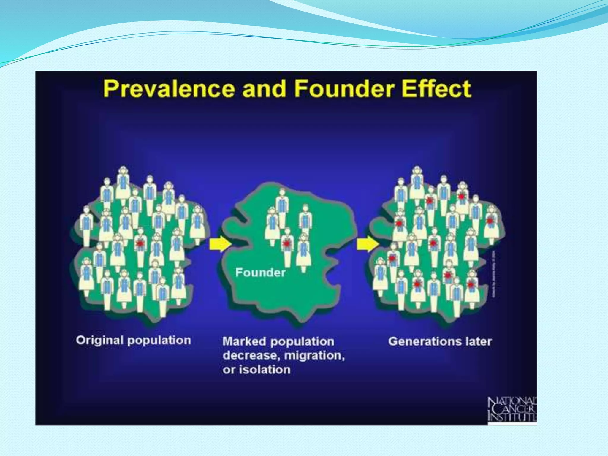 Population size and genetic drift | PPTX