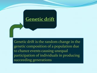 Population size and genetic drift | PPTX