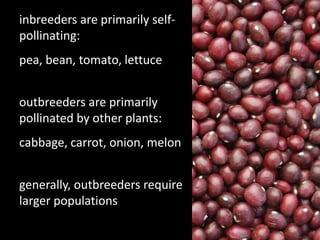 Maintaining Adequate Population Sizes for Seed Saving | PPTX