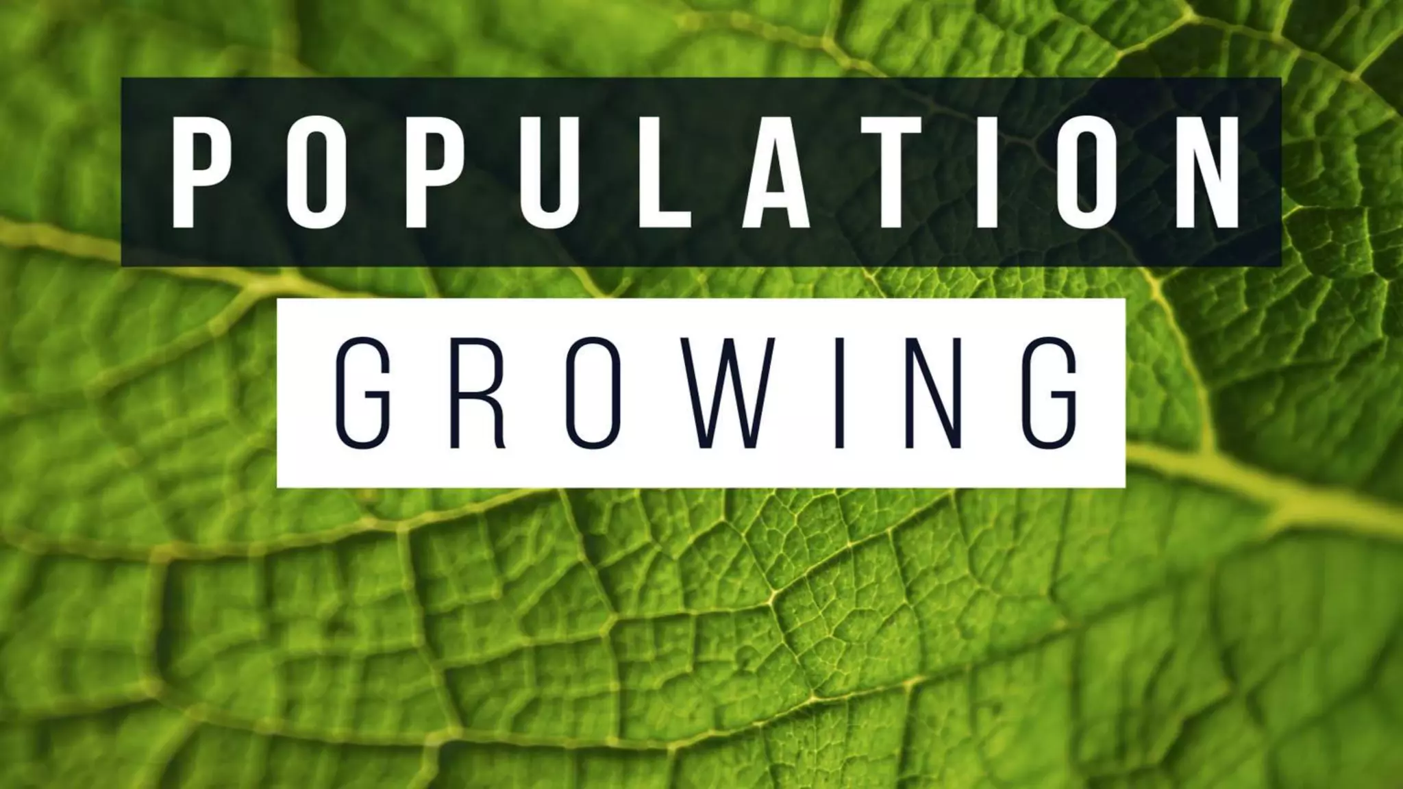 Population snapshot Sydney, Melbourne and Brisbane Mark McCrindle | PPTX