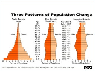 Population structure lesson4 | PPTX