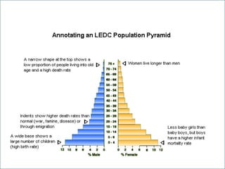 Population structure lesson4 | PPTX
