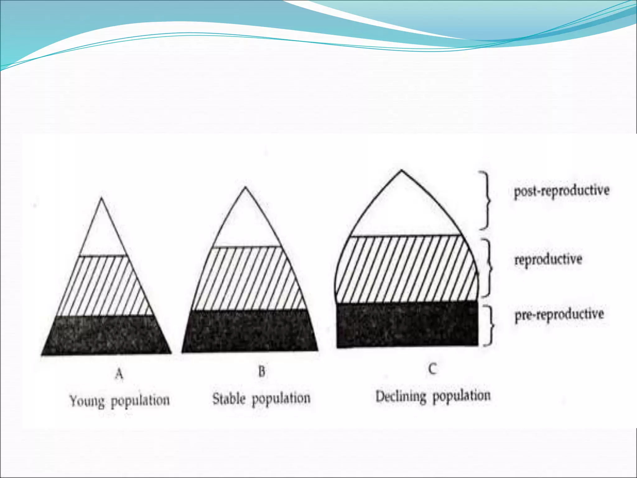 Population structures | PPTX
