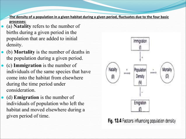 Population structures | PPTX | Geology | Science
