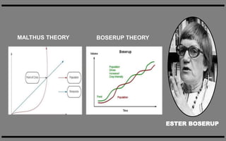 POPULATIONTHEORY.................-2.pptx