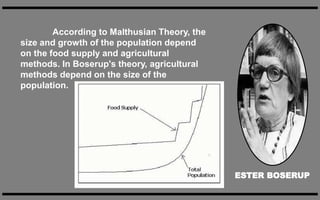 POPULATIONTHEORY.................-2.pptx