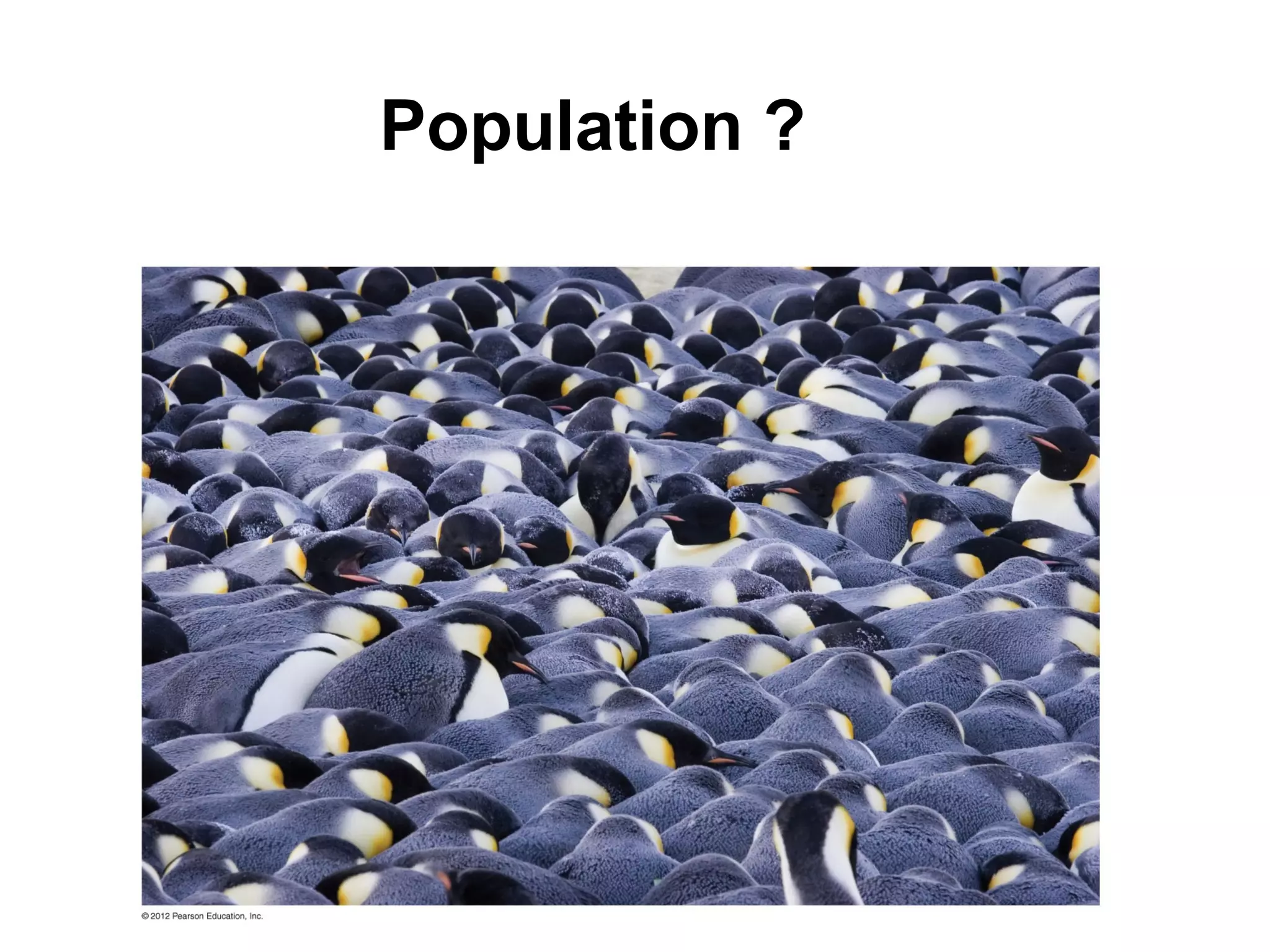 Population Ecology PPT | PPT
