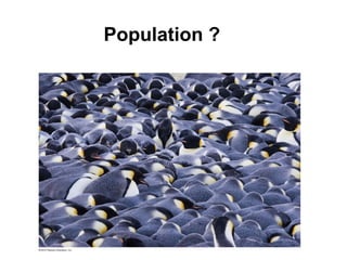 Population Ecology PPT | PPT