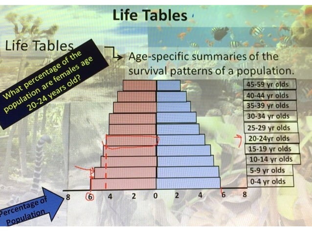 Population Ecology PPT | PPT