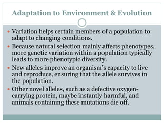 Population Variation.pptx jjjjmkokokomkokk | PPTX