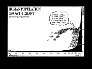 Population vocabulary presentation | PPTX